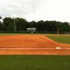 Infield Mix | SAF Products