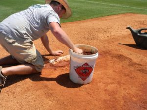 Mound Clay | SAF Products